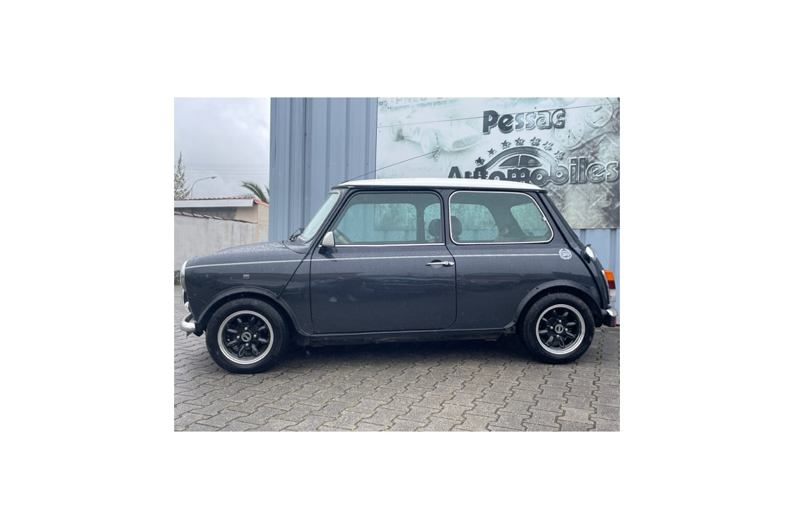 MINI 1300 MPI